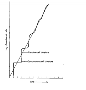 Synchronous Culture - Definition, Methods, Application. - Biology Notes ...