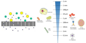 Filtration Sterilization - Types, Mechanism, Uses - Biology Notes Online
