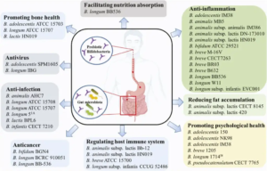 Probiotics - Definition, Mechanisms, Health Effects - Biology Notes Online