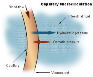 Osmotic Pressure - Definition, Equations, Types, Importance, Examples ...