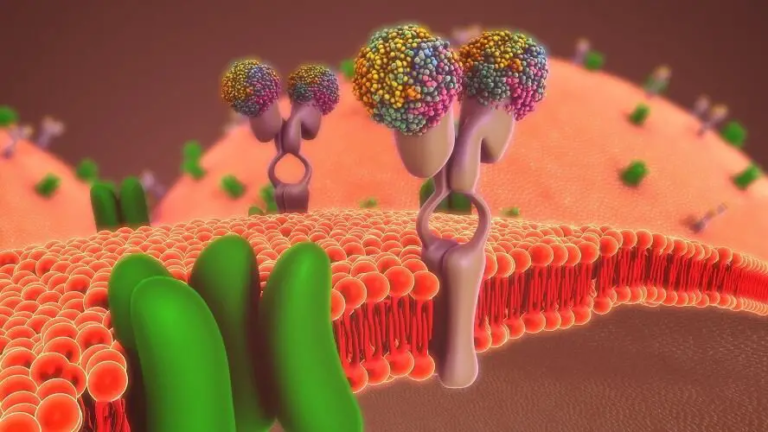 Cell membrane (Plasma Membrane) Structures and Functions - Biology ...