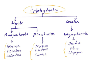 Carbohydrates - Definition, Examples, Structure, Types, and Functions ...