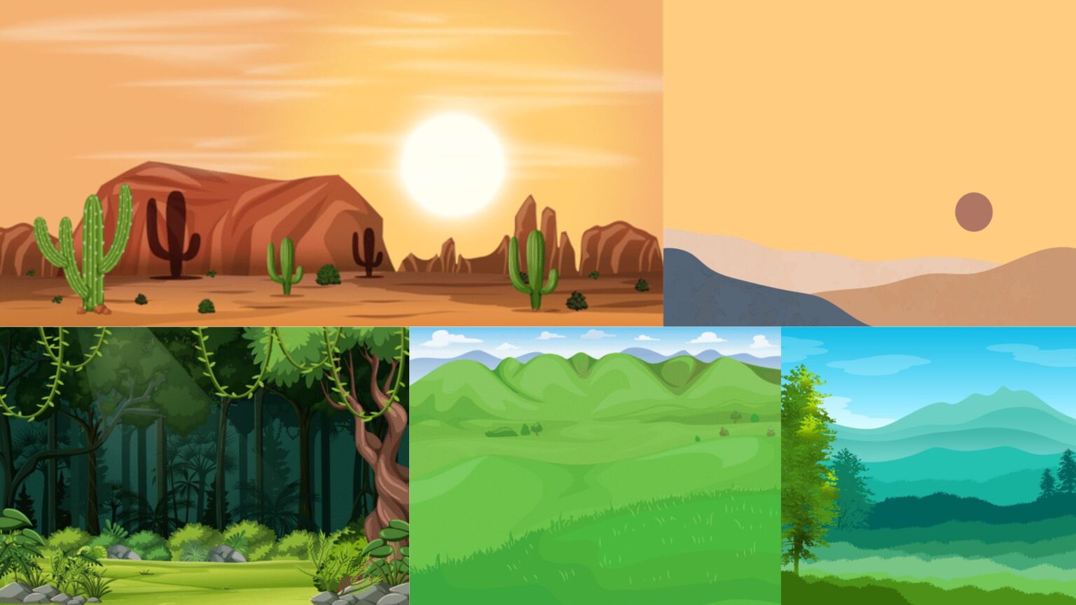 Zonation - Definition, Types, Importance, Example - Biology Notes Online