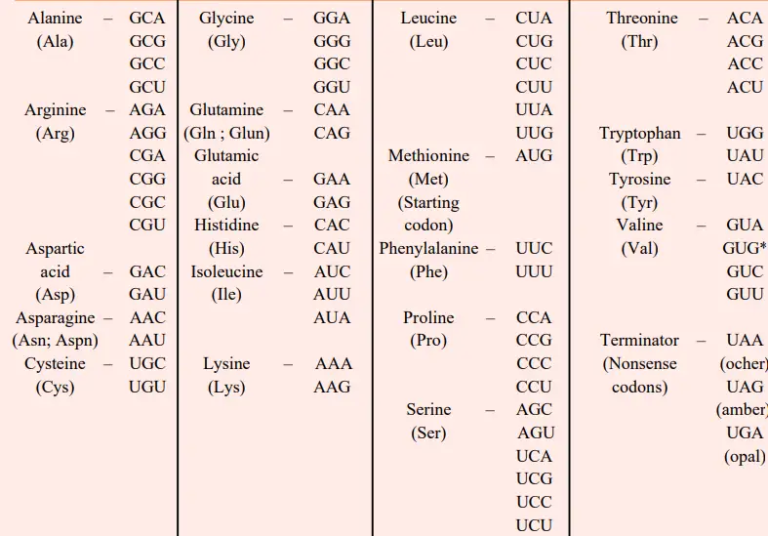 Genetic Code - Definition, Characteristics, Wobble Hypothesis - Biology ...