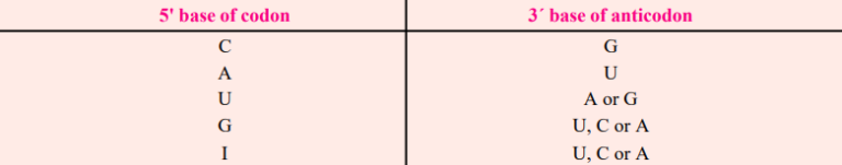 Genetic Code - Definition, Characteristics, Wobble Hypothesis - Biology ...