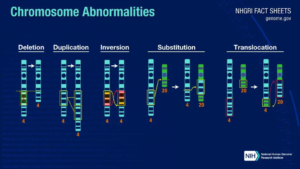 Chromosome Abnormalities - Types, Mechanism, Detection - Biology Notes ...