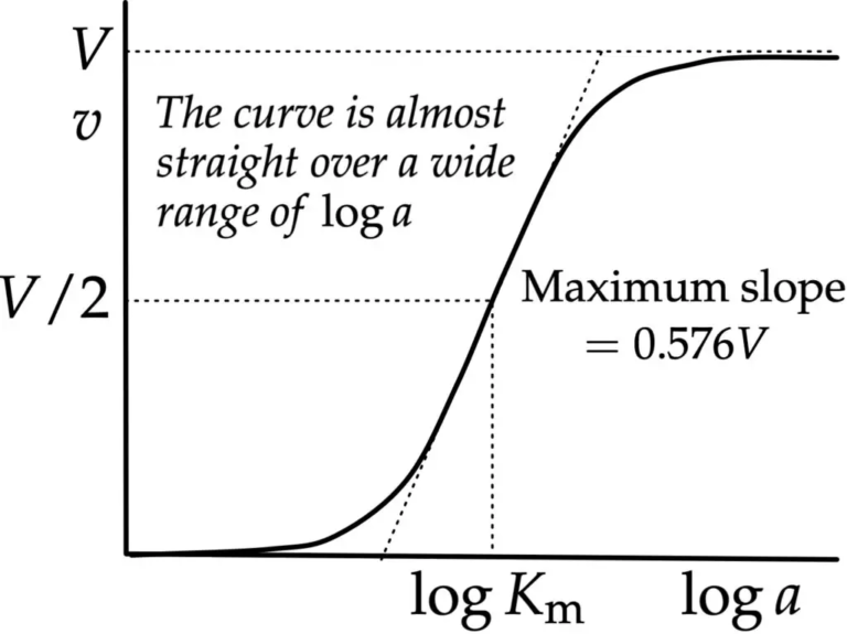 The Michaelis–Menten Model and its Plot, Equation, Importance - Biology ...