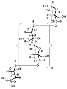 Glycogen - Structure, Functions, Examples - Biology Notes Online