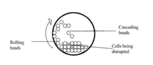 Cell Disruption - Definition, Methods, Application - Biology Notes Online