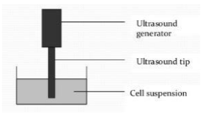 Cell Disruption - Definition, Methods, Application - Biology Notes Online