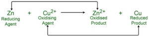 Oxidizing Agent - Definition, Factors, Applications, Examples - Biology ...
