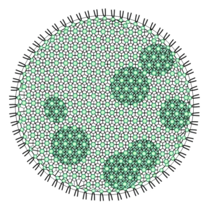 Volvox - Definition, Characterisitcs, Structure, Reproduction - Biology ...