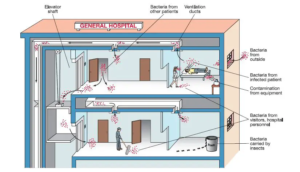 Nosocomial Infection - Prevention, Source, Transmission - Biology Notes ...