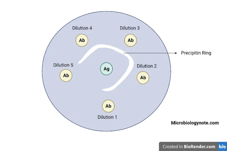 Immunodiffusion Reaction - Biology Notes Online