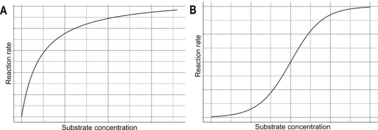 Factors That Affects Enzyme Activity - Biology Notes Online