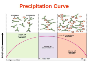 Precipitation Reaction - Definition, Principle, Types - Biology Notes ...