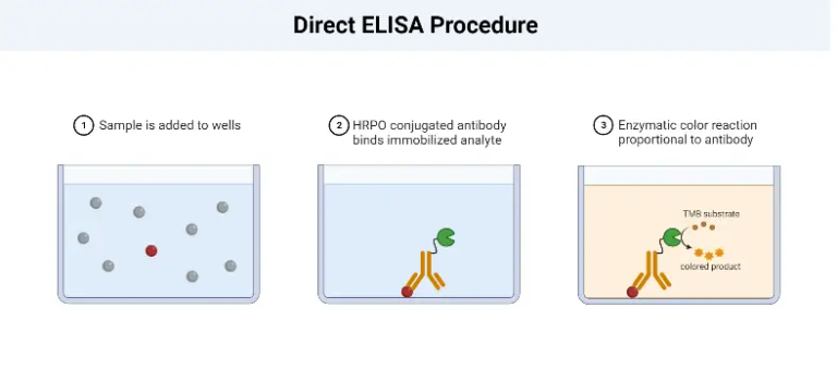 ELISA test - Definition, Principle, Procedure, Types, Steps, Uses ...