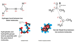 Active Site For Enzymes - Definition, Features, Mechanism, Example ...