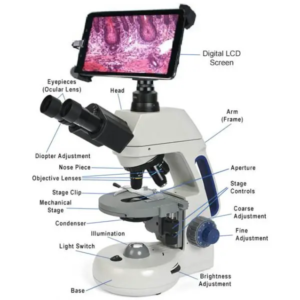 Digital Microscope - Principle, Parts, Uses, Advantages - Biology Notes ...