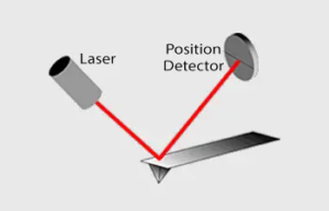 Atomic Force Microscope (AFM) - Principle, Parts, Procedure, Uses ...