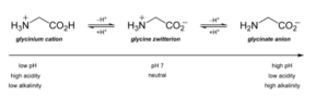 Zwitterion - Definition, Structure, Examples - Biology Notes Online
