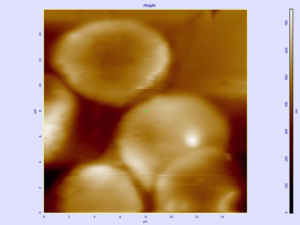 Atomic Force Microscope (AFM) - Principle, Parts, Procedure, Uses ...