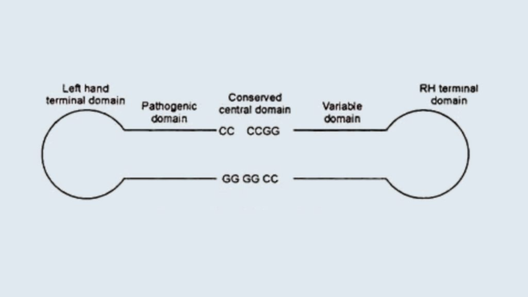 Viroids Definition, Infection, Structure, Examples, Diagnostic, Origin ...