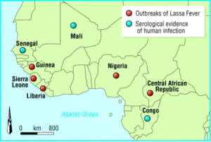 Lassa Virus - An Overview - Biology Notes Online