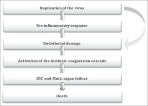Crimean-Congo Hemorrhagic Fever Virus - An Overview - Biology Notes Online