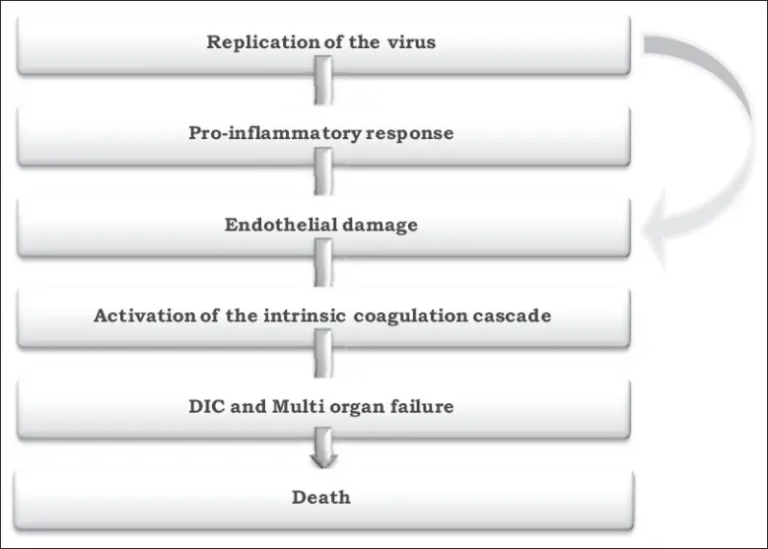 Crimean-Congo Hemorrhagic Fever Virus - An Overview - Biology Notes Online