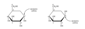 Anomer of Glucose - Biology Notes Online