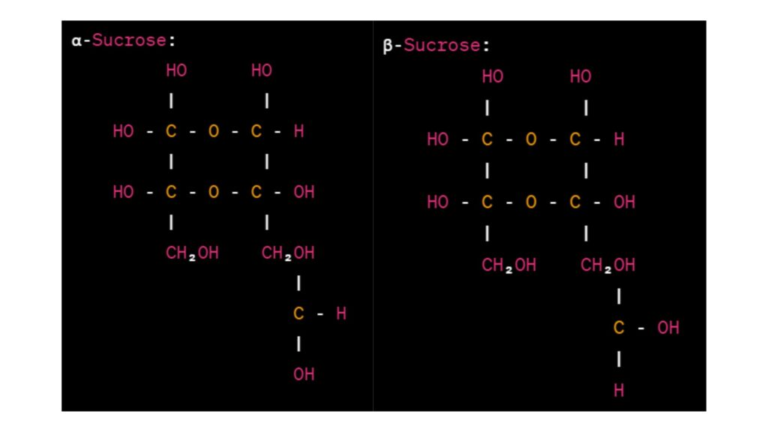 Haworth Projection - Definition, Characterisitcs, Examples - Biology ...