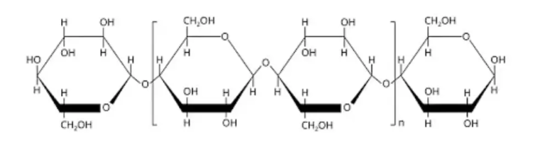 Polysaccharide - Definition, Types, Structure, Functions, Examples ...