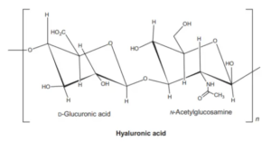 Polysaccharide - Definition, Types, Structure, Functions, Examples ...