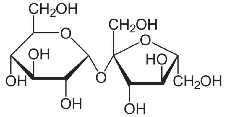 Disaccharides - Definition, Classification, Functions, Examples ...