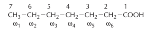Lipids - Definition, Structure, Properties, Types, Functions, Examples ...