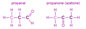 Isomerism - Definition, Types, Explanation, Examples - Biology Notes Online
