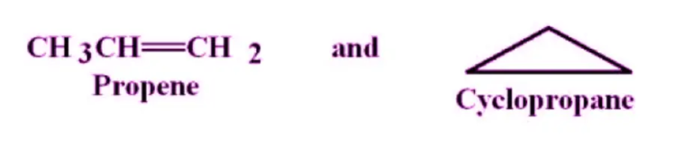 Isomerism - Definition, Types, Explanation, Examples - Biology Notes Online