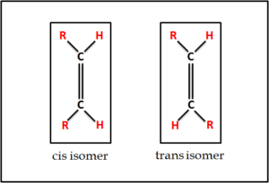 Lipids - Definition, Structure, Properties, Types, Functions, Examples ...