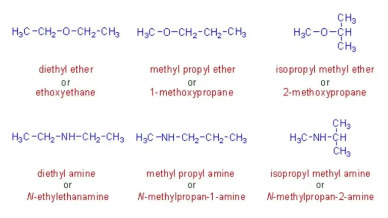 Structural Isomer Definition Types Examples Biology Notes Online