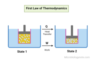 Thermodynamics - Definition, Types, 1st, 2nd, 3rd Law - Biology Notes ...