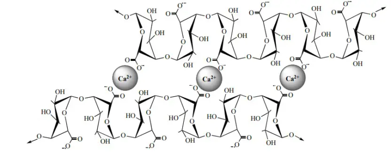 Microbial degradation of Pectin - Enzymes, Steps, Mechanisms - Biology ...