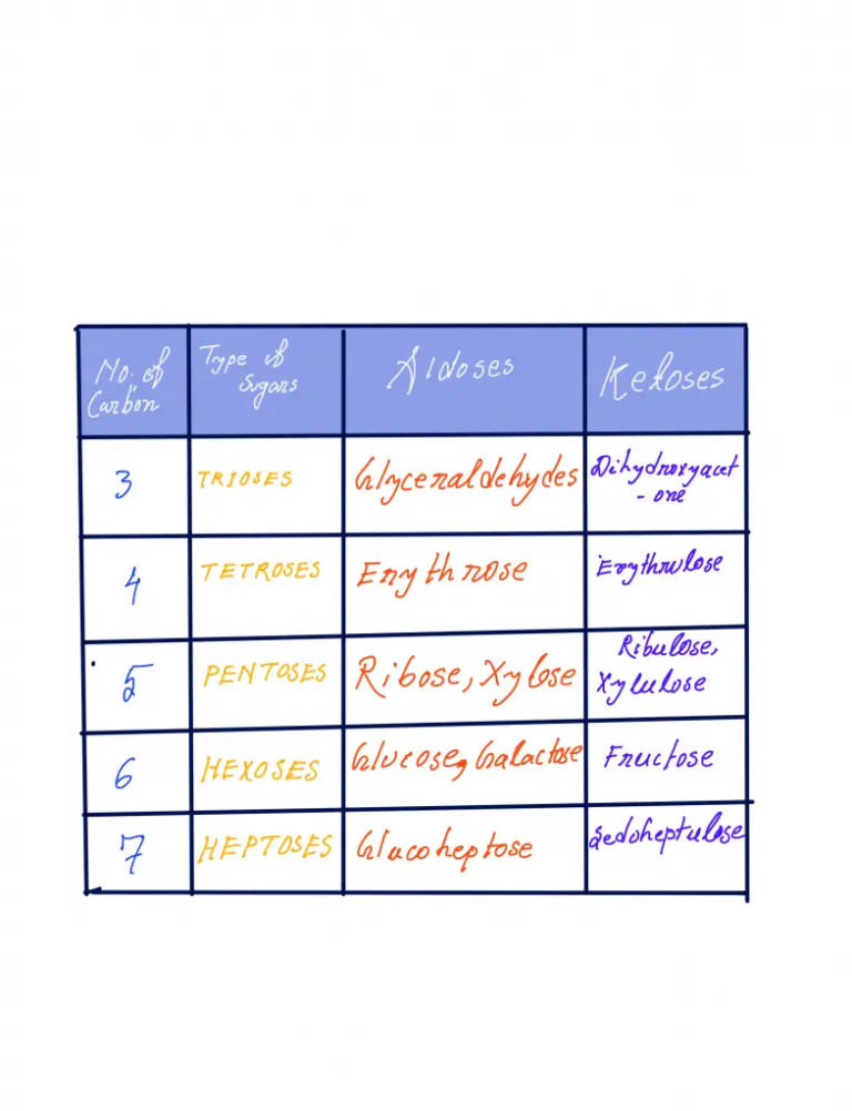 Monosaccharides - Definition, Structure, Types, Examples - Biology ...