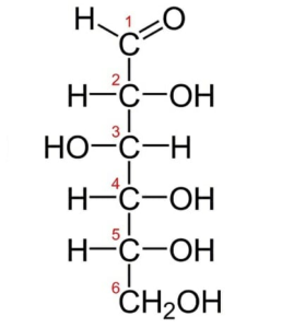 Monosaccharides - Definition, Structure, Types, Examples - Biology ...