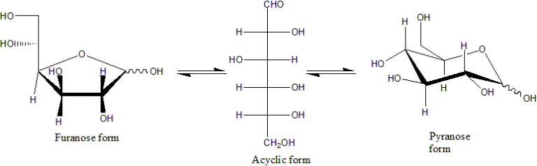 Monosaccharides Definition Structure Types Examples Biology