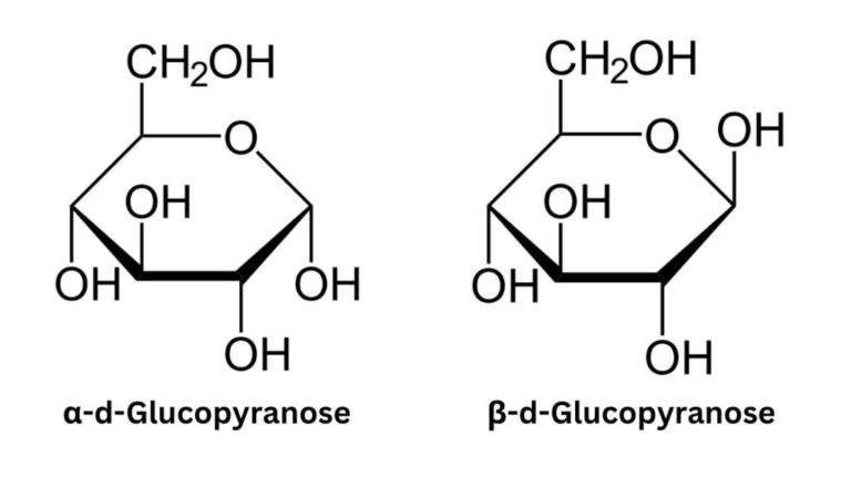 Monosaccharides Definition Structure Types Examples Biology