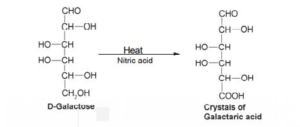 Monosaccharides - Definition, Structure, Types, Examples - Biology ...