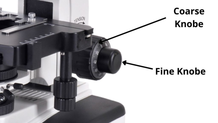 Parts of a Microscope and Their Functions - Biology Notes Online