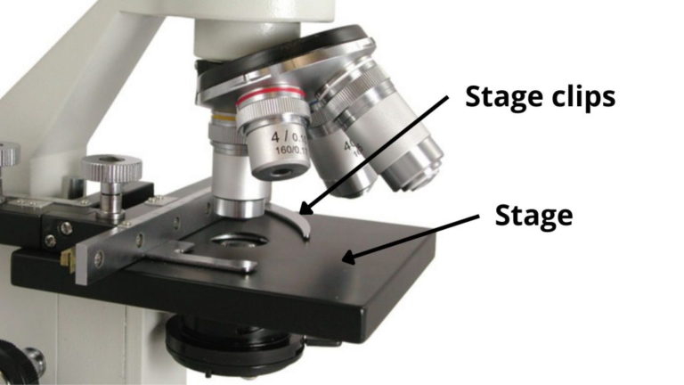 Parts of a Microscope and Their Functions - Biology Notes Online