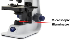 Parts Of A Microscope And Their Functions - Biology Notes Online